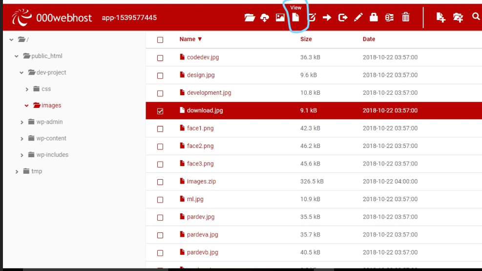 How to add file paths in src attribute inside img tag | Tutes Club